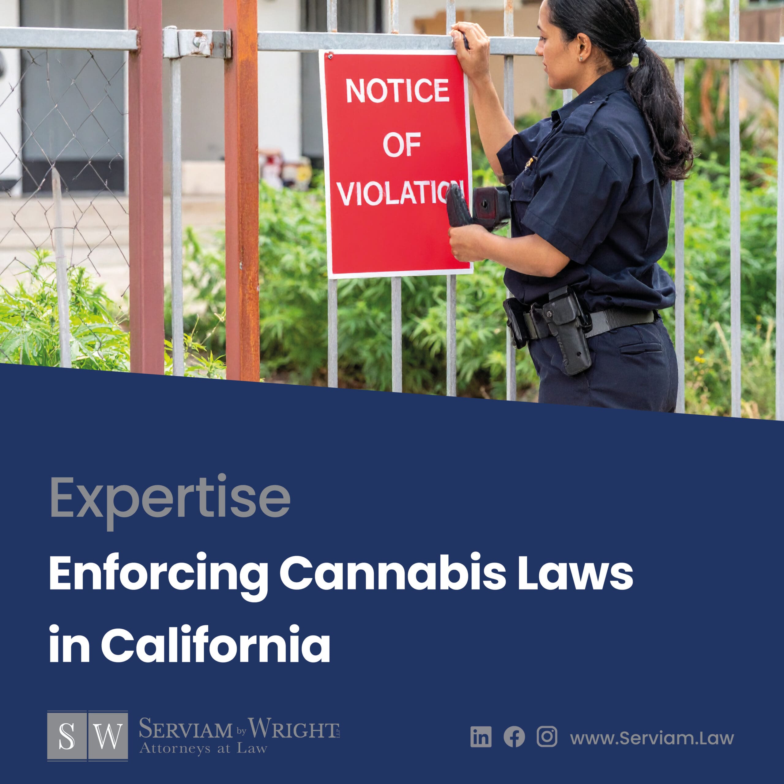 Enforcing Cannabis Laws in California | Serviam Law